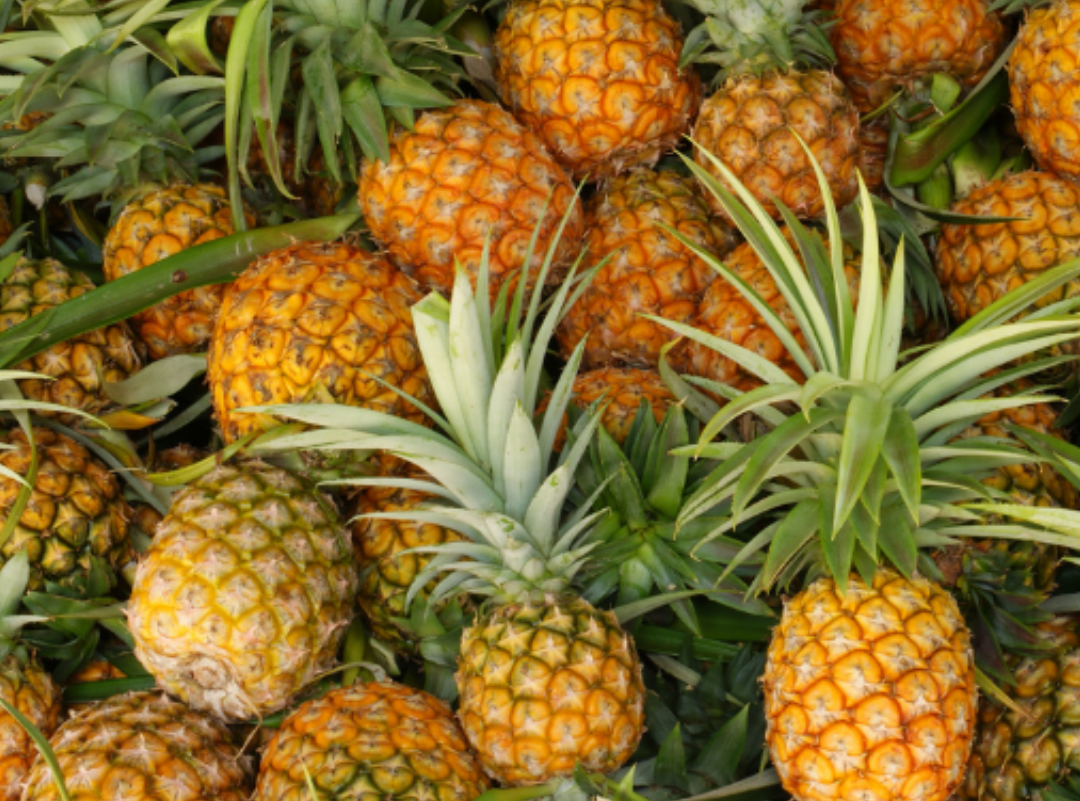 Market Report - Select Fresh Providores